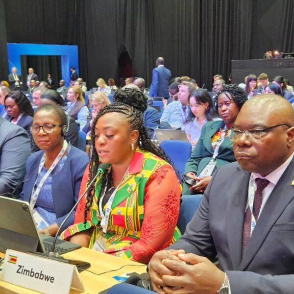 Steward Bank to Rebrand as TN Cybertech Bank in Bold Return to Roots ...