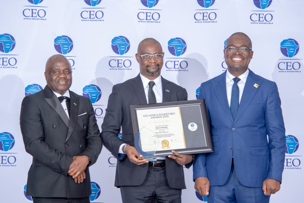 Dandemutande CEO Wins ICT CEO of the Year Award 2025 at the CEO Africa ...