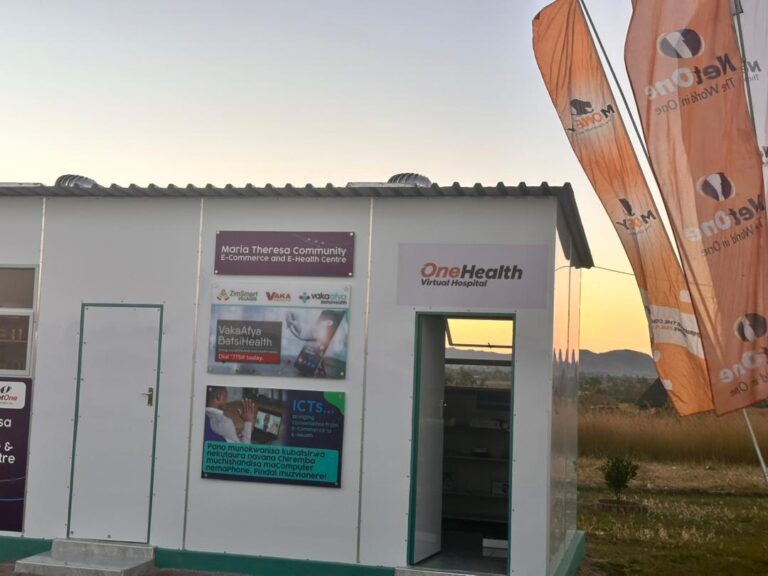 First Lady's Partnership with NetOne - ZimSmart Villages, Brings 40 ...